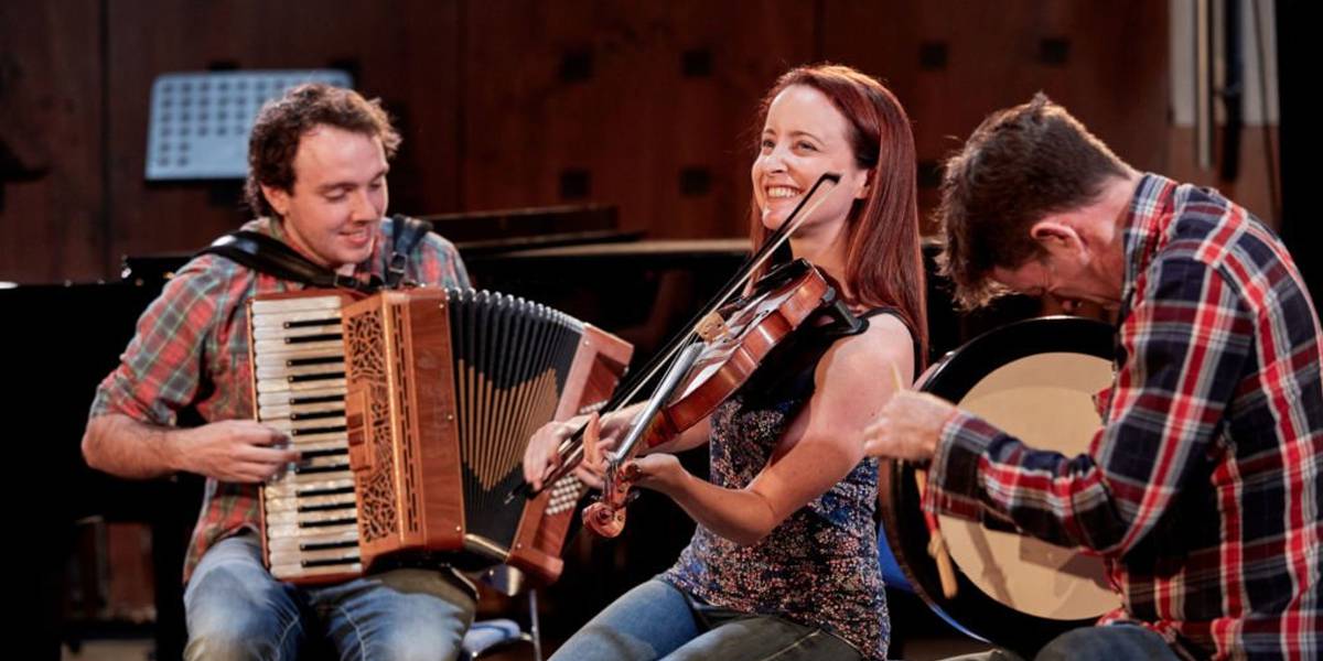 Pro Tips for Playing Irish Harp Like A Pro- Here's How